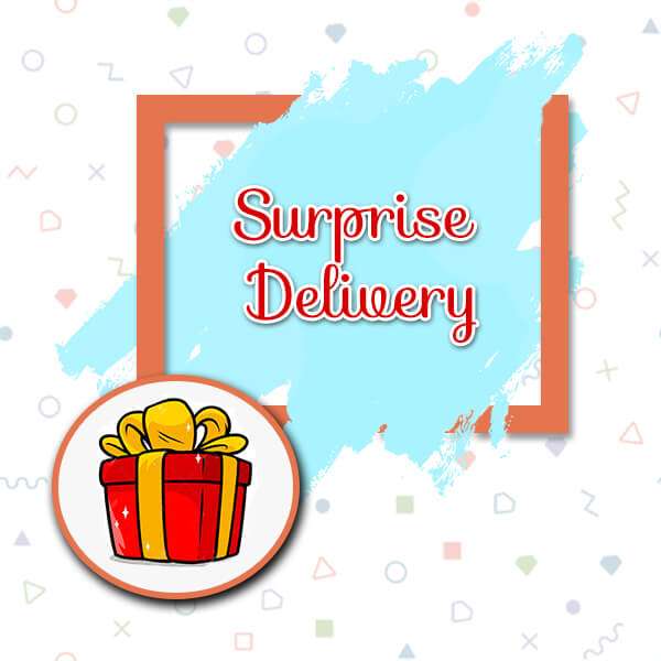 Best Surprise Birthday Party Planners | Bookthesurprise